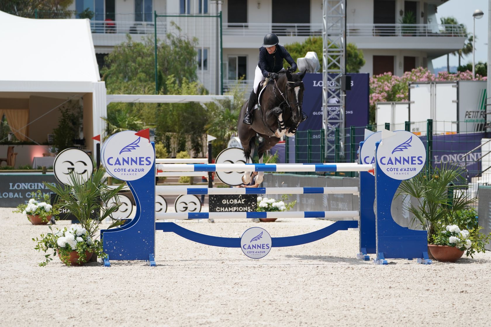 DOMINATOR 2000 Z - His legacy is already written! | Studfarm Zangersheide